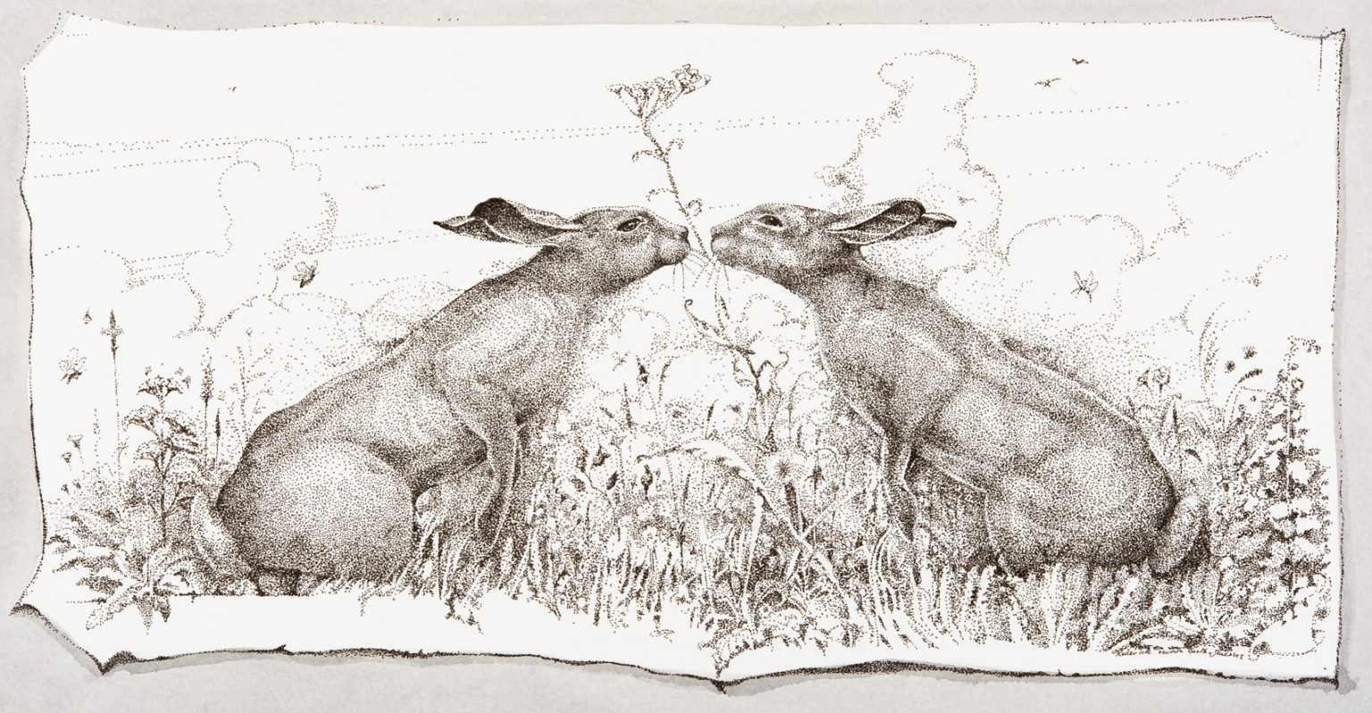 Kissing Hares | Roderick Booth-Jones